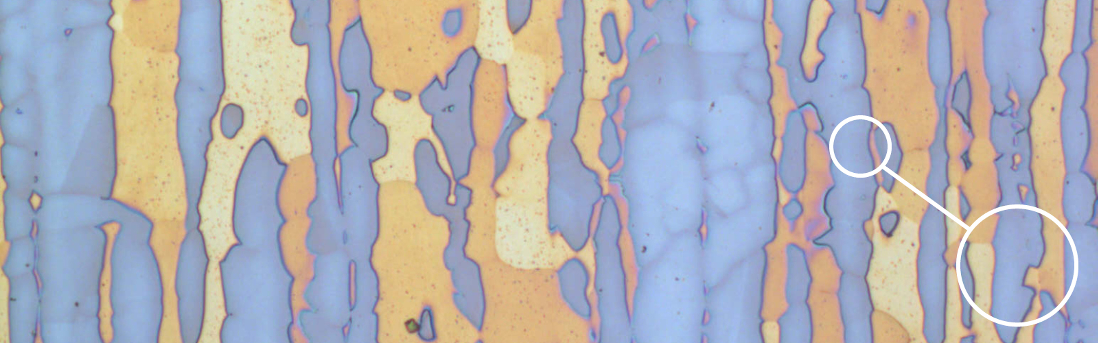 Metallography of stainless steel insight | Struers.com
