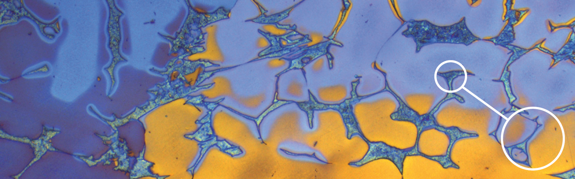 銅と銅合金の金属組織学試料作製
