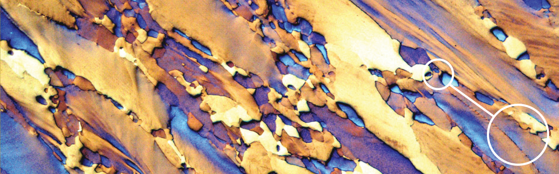 チタンとチタン合金の金属組織学試料作製