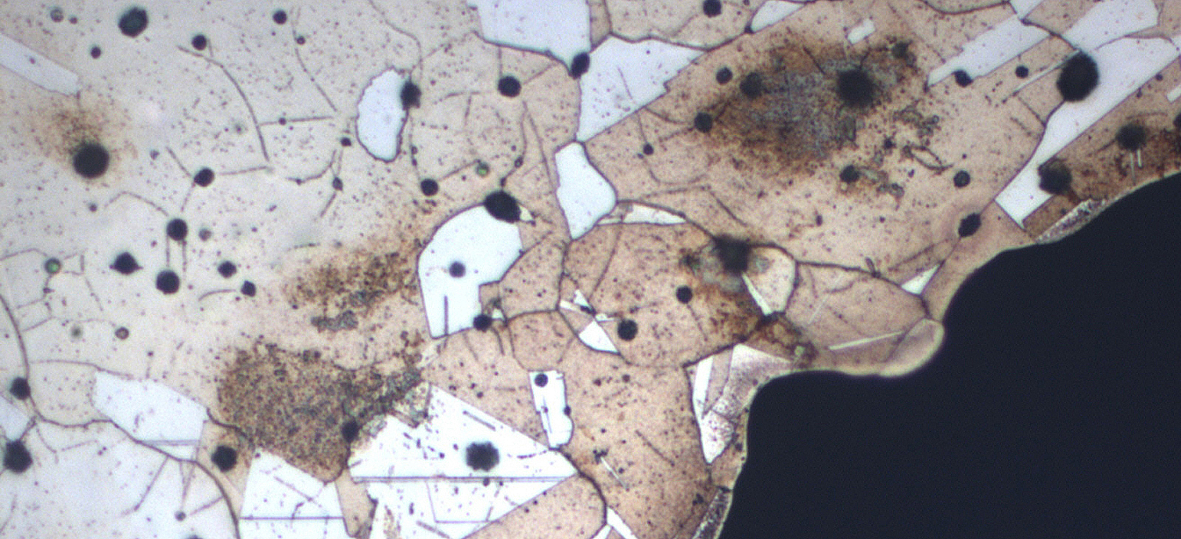 El microscopio electrónico de transmisión (TEM) es una técnica ...